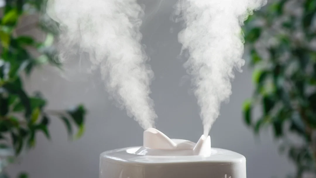 5 Health Benefits of Using a Humidifier - GoodRx