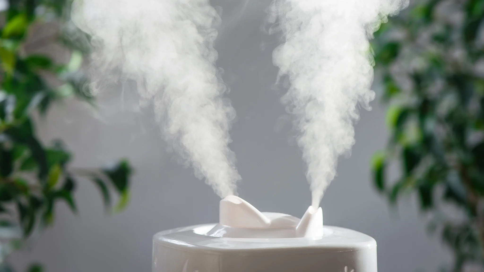 5 Health Benefits of Using a Humidifier - GoodRx
