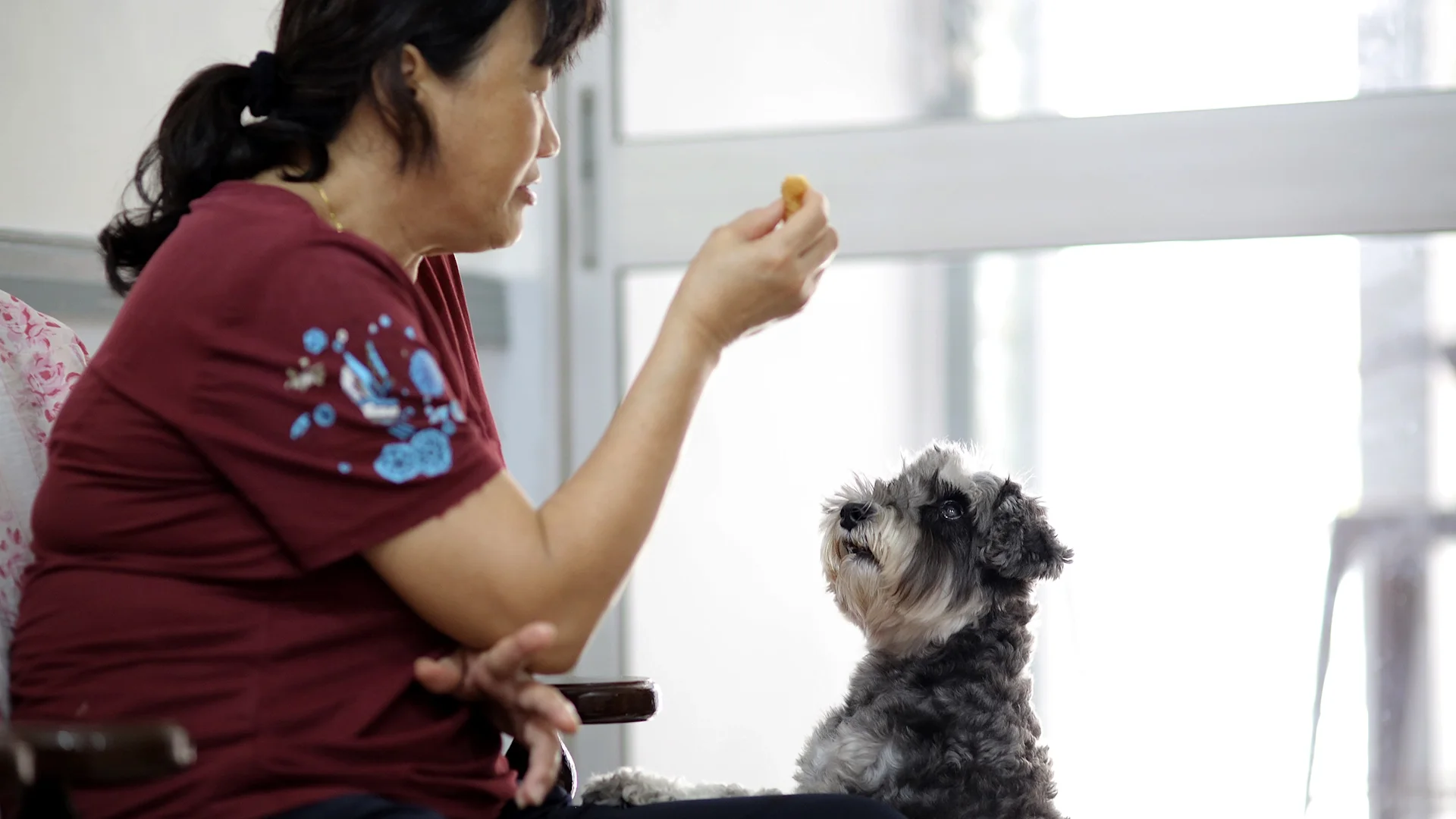 4 Home Remedies to Treat Dog Constipation - GoodRx