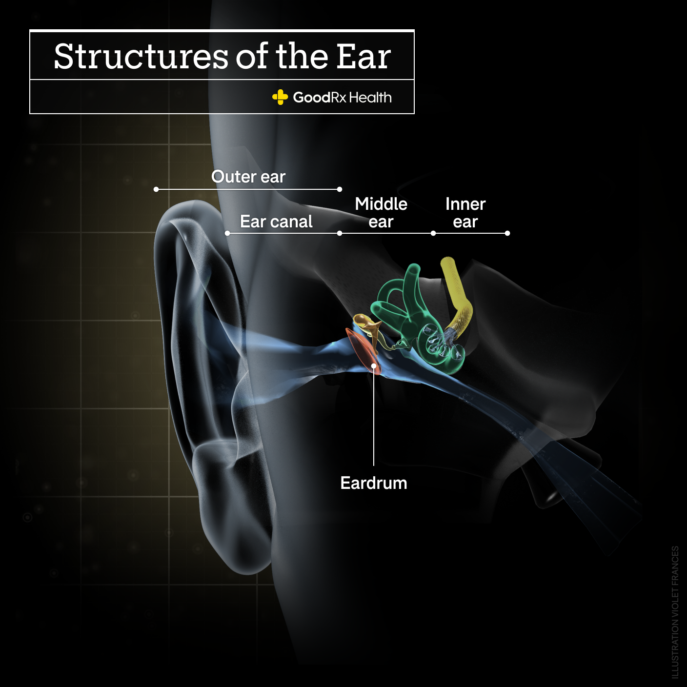 What Is Swimmer’s Ear? Symptoms, Causes, and Treatment - GoodRx