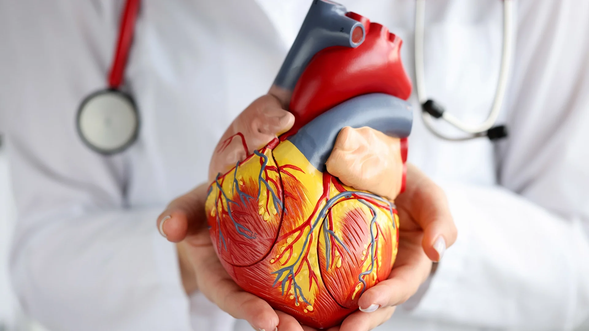 When to See a Cardiologist: 9 Reasons to Visit a Heart Specialist - GoodRx