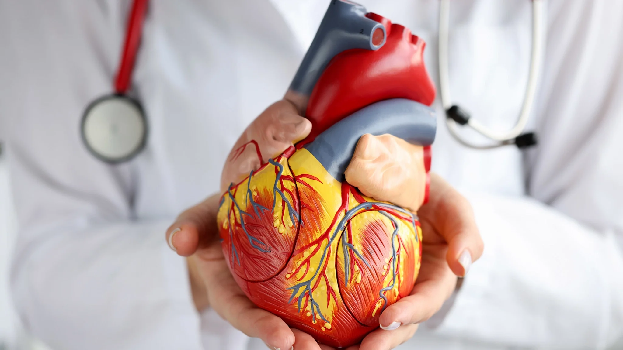 When to See a Cardiologist: 9 Reasons to Visit a Heart Specialist - GoodRx