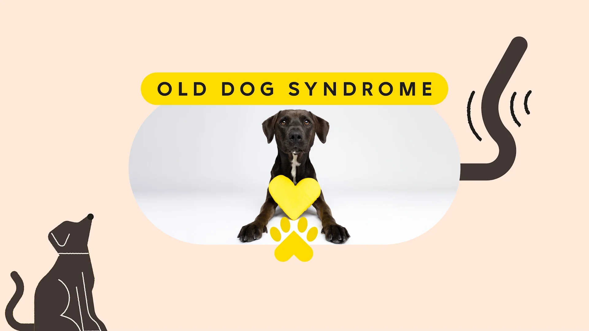 What It's Like to Care for a Dog With ‘Old Dog Syndrome’ - GoodRx