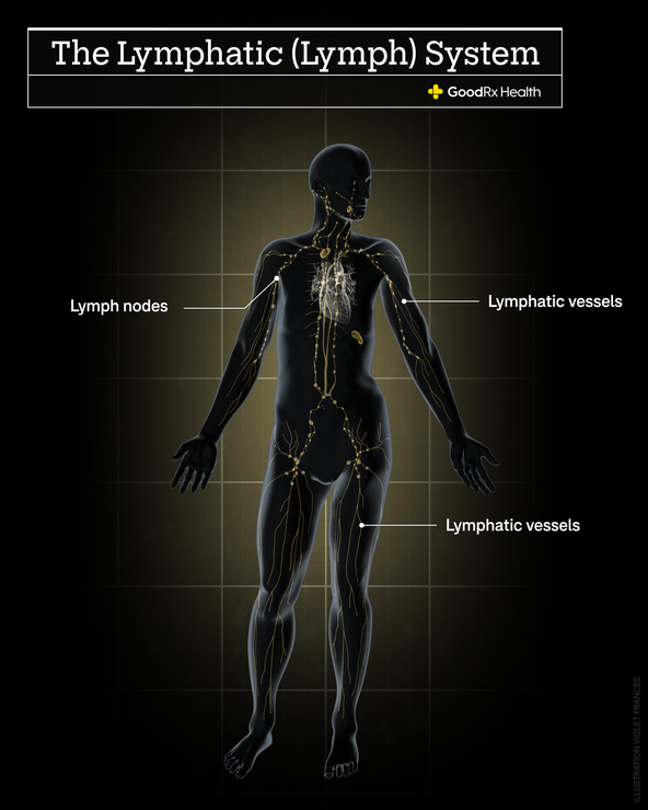 Dry Brushing: Techniques and Use for Lymphatic Drainage - GoodRx