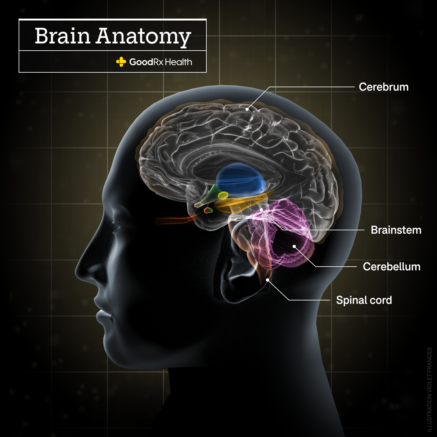 Essential Tremor: Causes, Symptoms, and Diagnosis - GoodRx