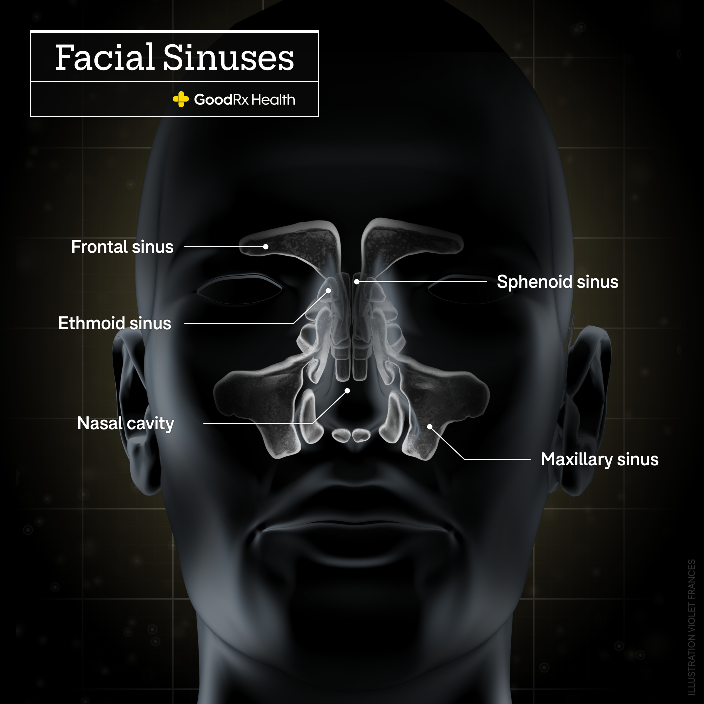 12 Ways to Relieve Sinus Pressure at Home - GoodRx