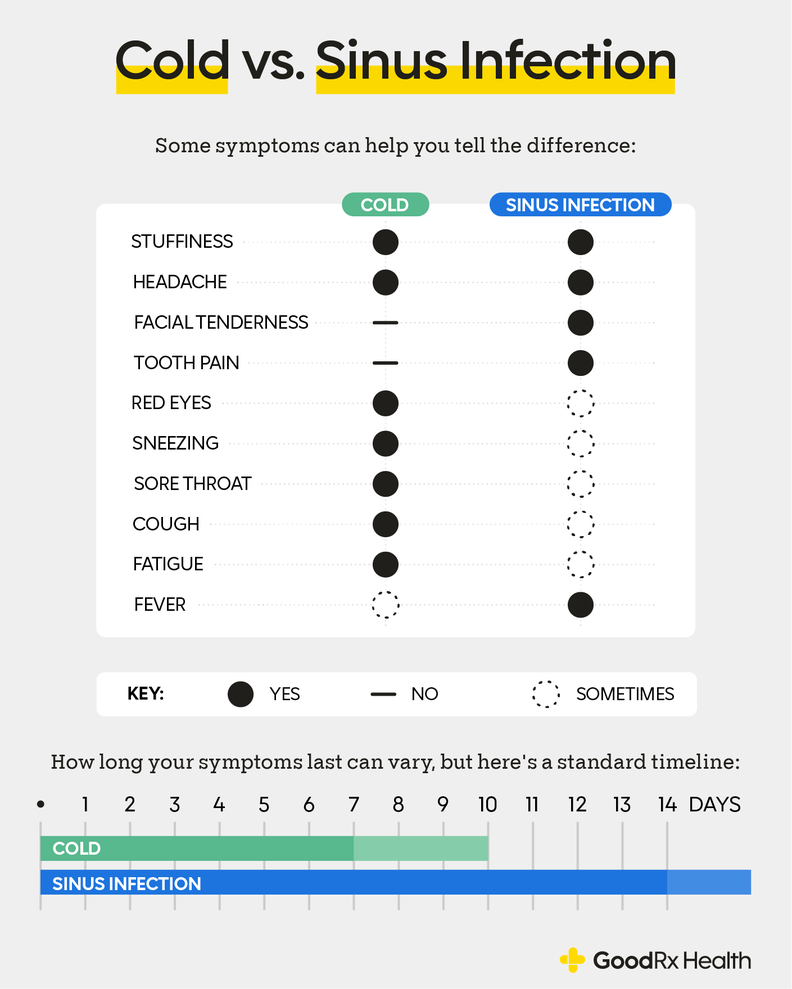 When Should You See A Doctor For A Sinus Infection Goodrx