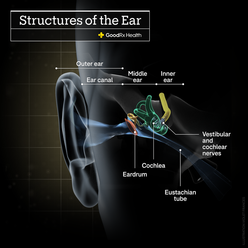 What Is an Inner Ear Infection, and How Is it Treated? - GoodRx