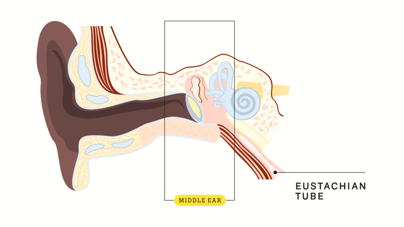 11 Reasons Your Ears Feel Clogged, and What Can Help - GoodRx
