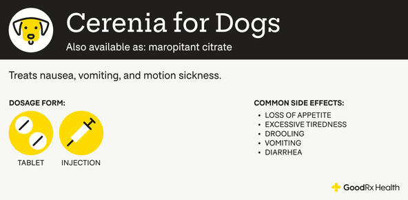 Cerenia (Maropitant Citrate) for Dogs: Uses, Side Effects, and More ...