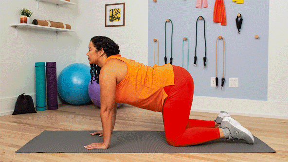5 Stretches and Exercises for Lower Back Pain Relief - GoodRx