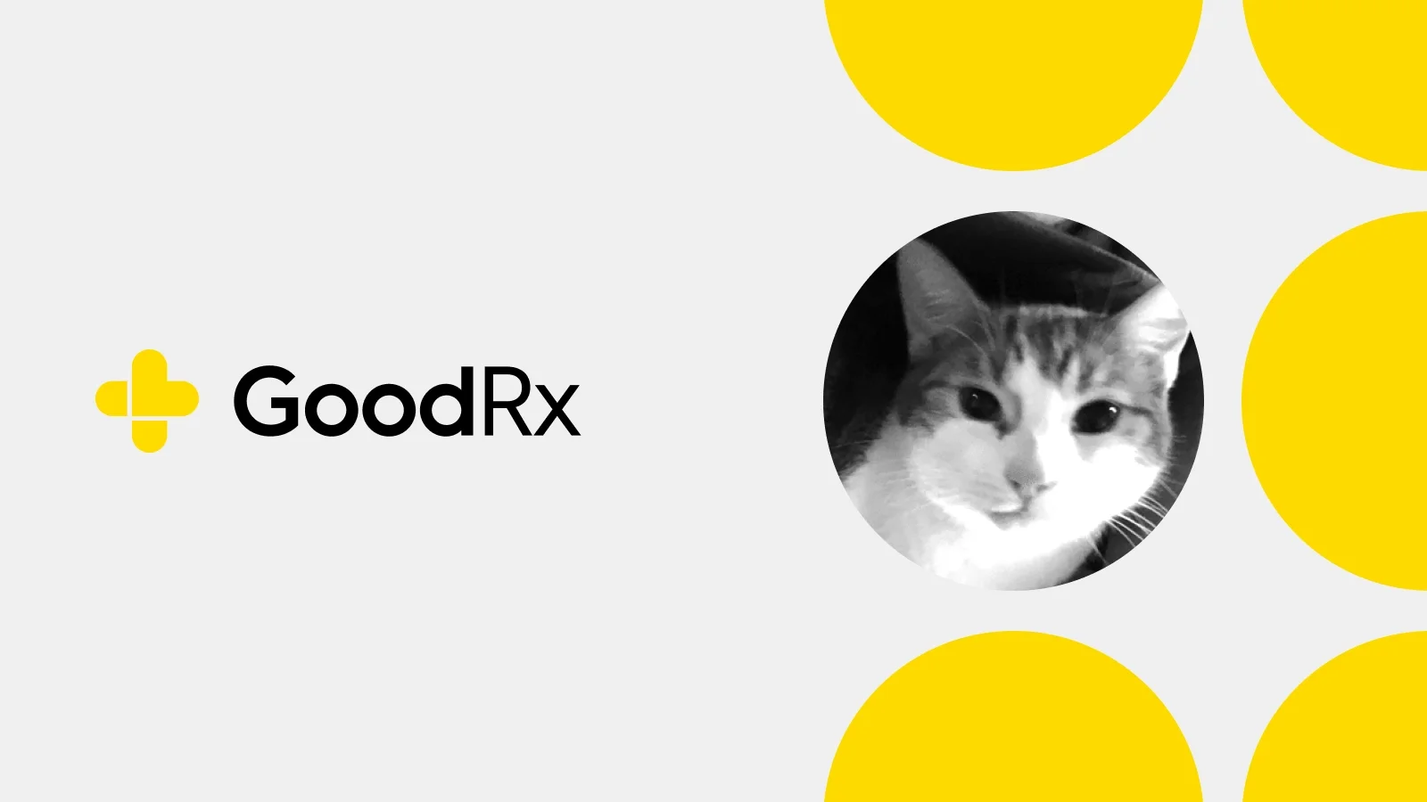 hyperactive cat treatment