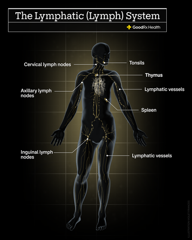 Can Allergies Cause Swollen Lymph Nodes? - GoodRx