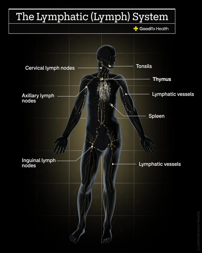 Can Allergies Cause Swollen Lymph Nodes? - GoodRx