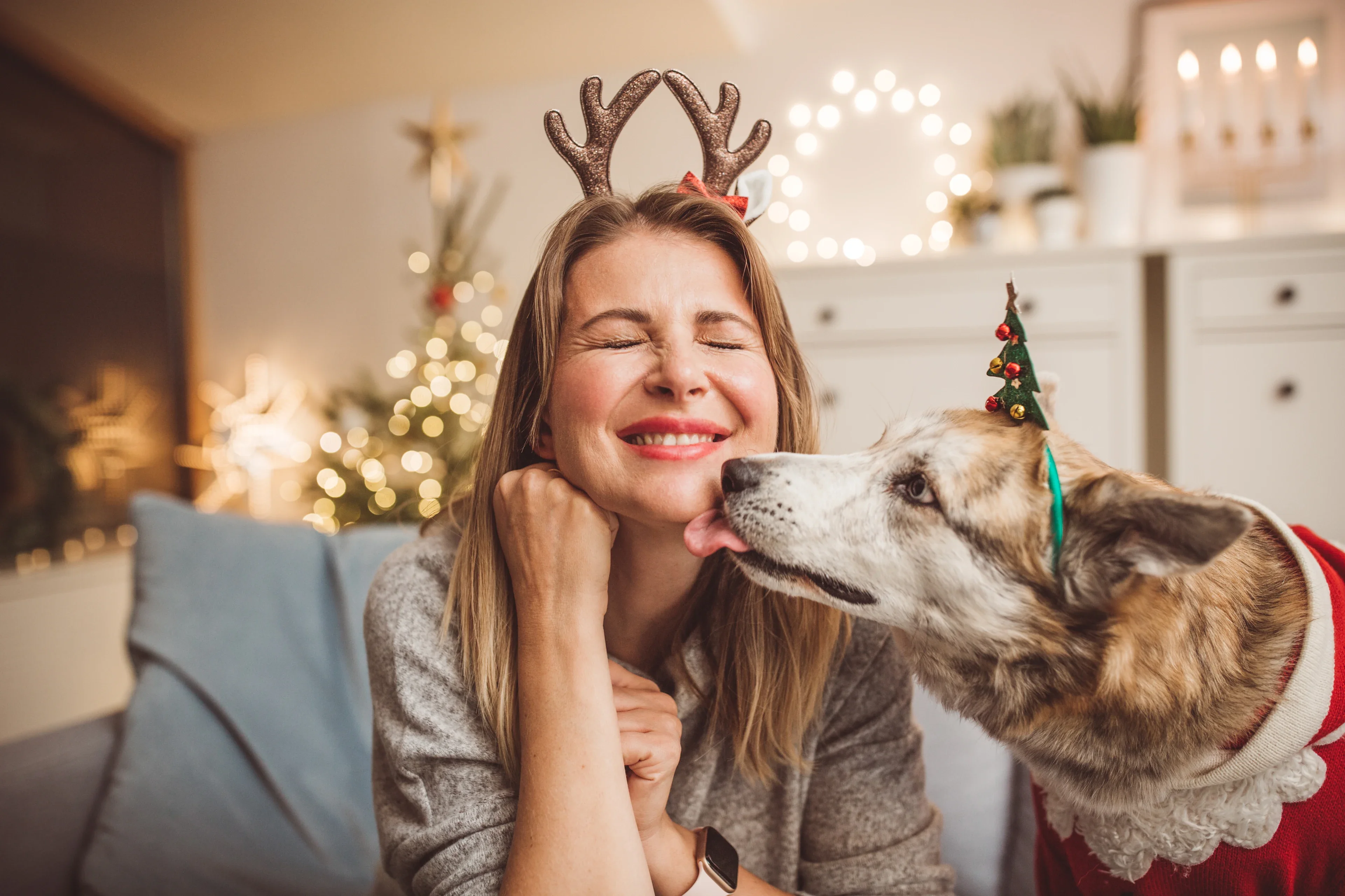 Popular Antihistamines List, Drug Prices and Medication Information ...