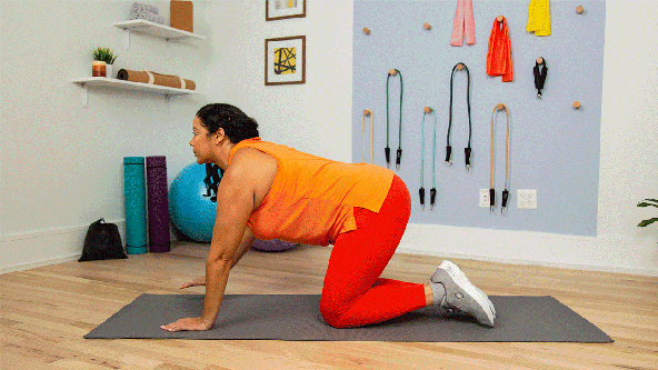 What Muscles Benefit From the Bird Dog Exercise and How to Do It - GoodRx