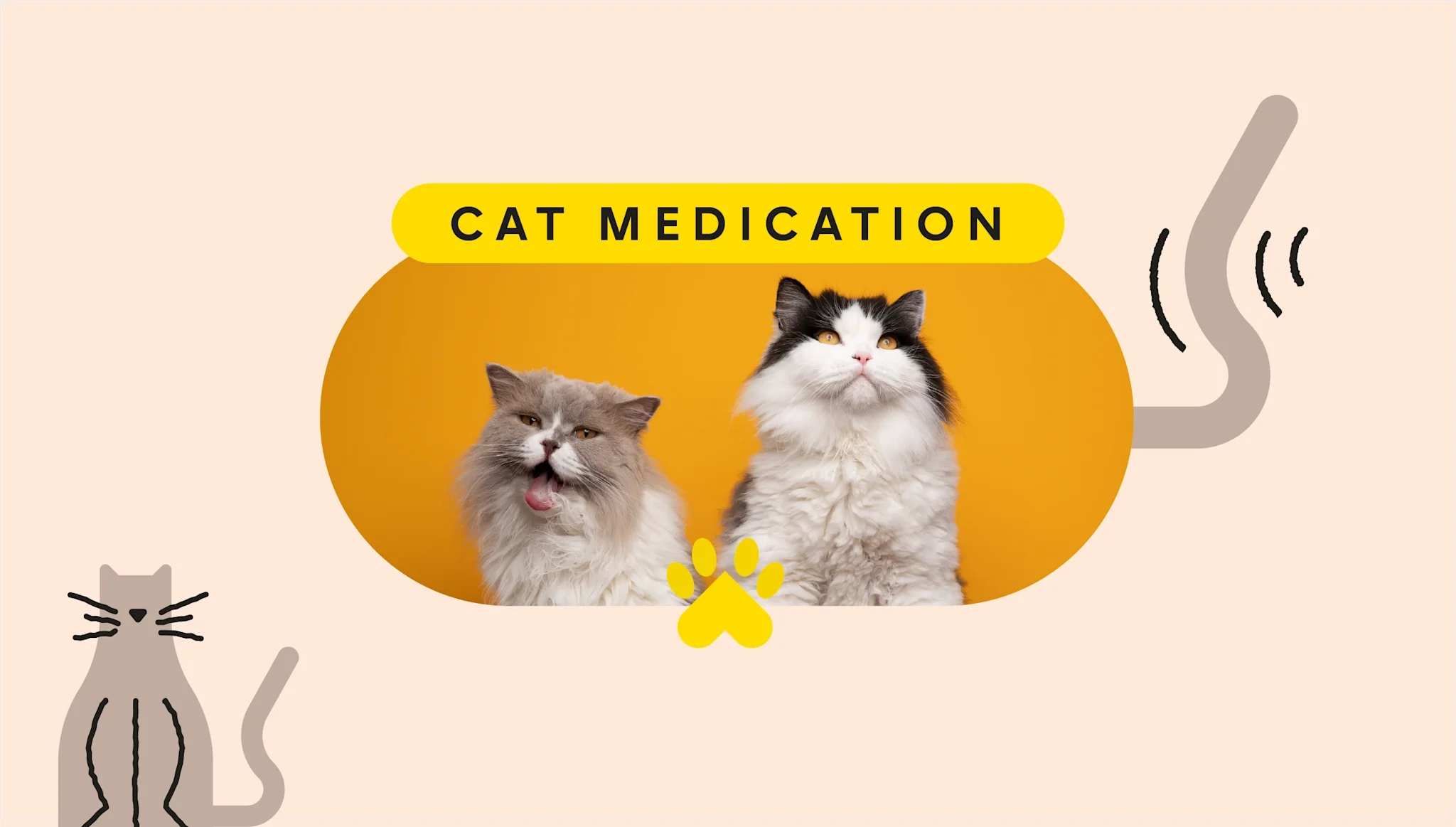 How to Give Your Cat Medication: Tips From 3 Cat Owners - GoodRx