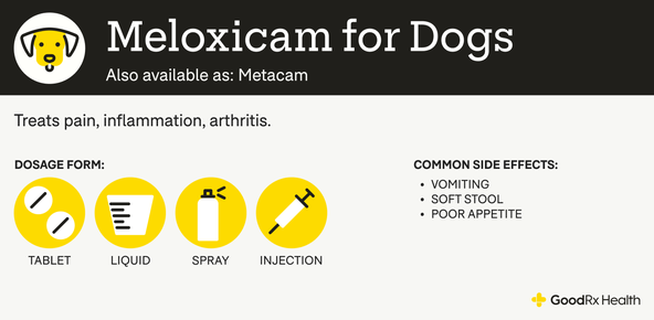 Meloxicam for Dogs: Uses, Side Effects, Dosage - GoodRx