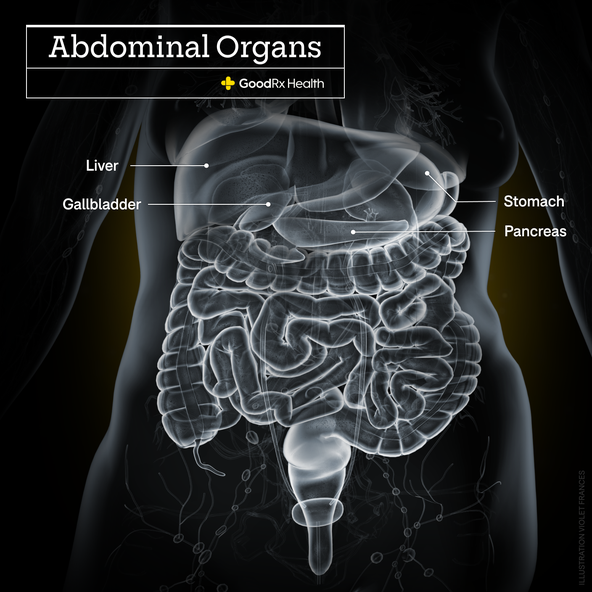 ERCP Explained: What to Know Before the Procedure - GoodRx