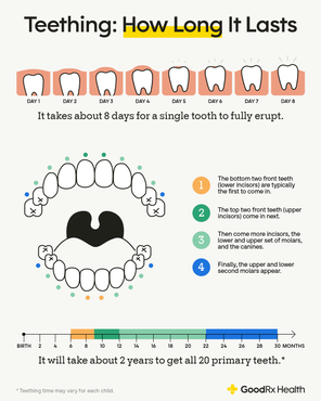 How Long Does Teething Usually Last? A General Timeline - GoodRx