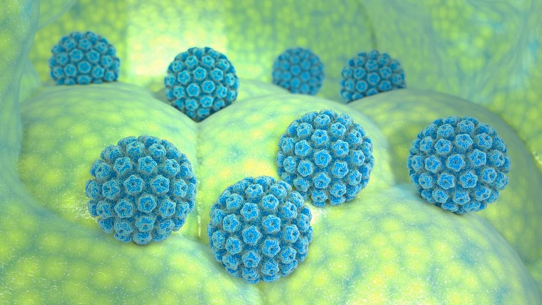 Can HPV Go Away on Its Own? - GoodRx