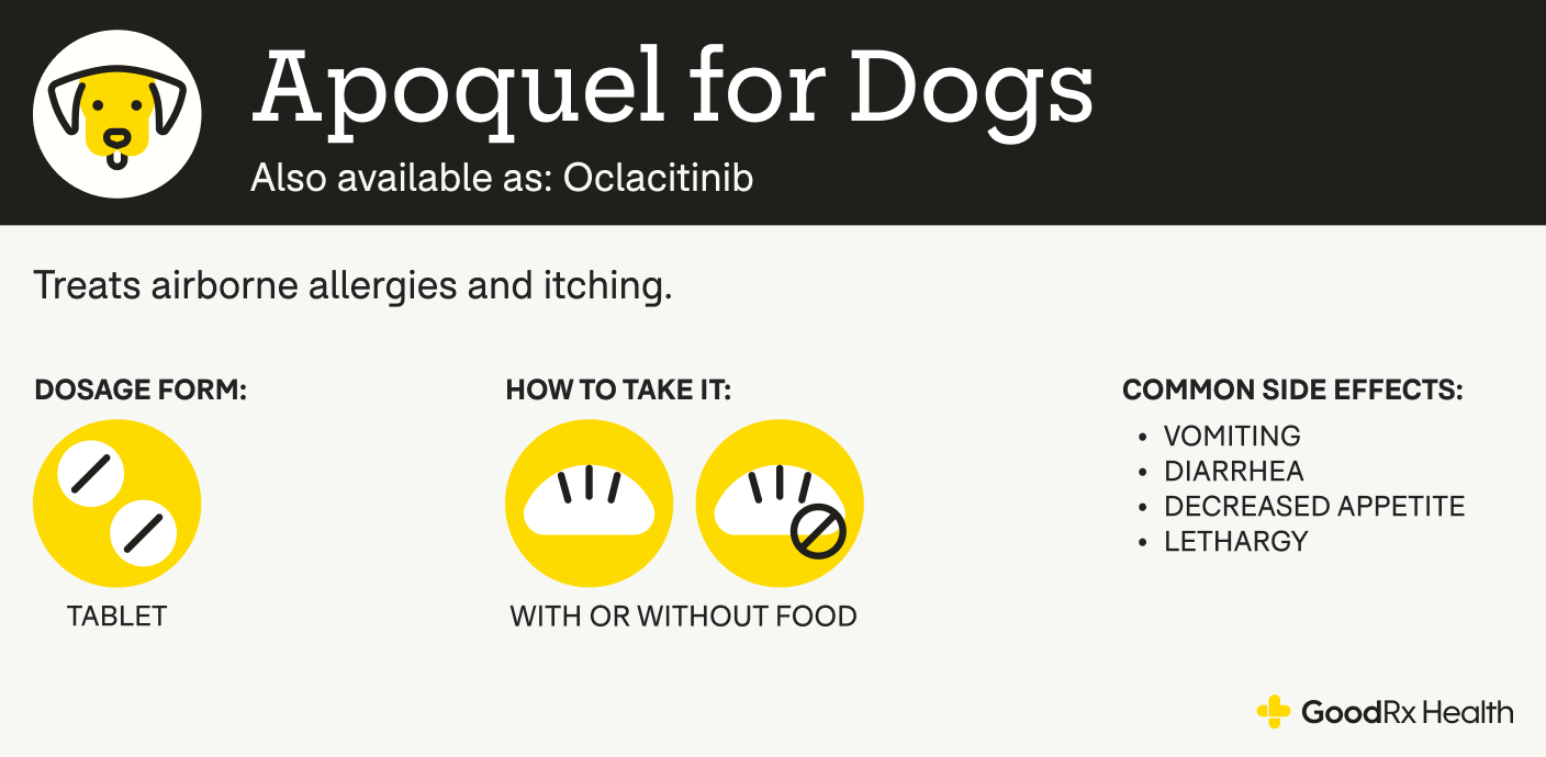 Apoquel for Dogs: Use, Side Effects, and Dosage - GoodRx
