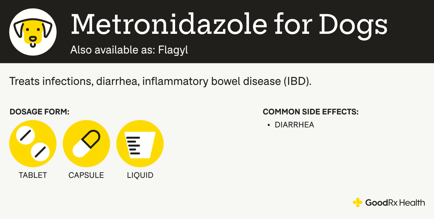 Metronidazole for Dogs: Dosage, Side Effects, and Risks - GoodRx