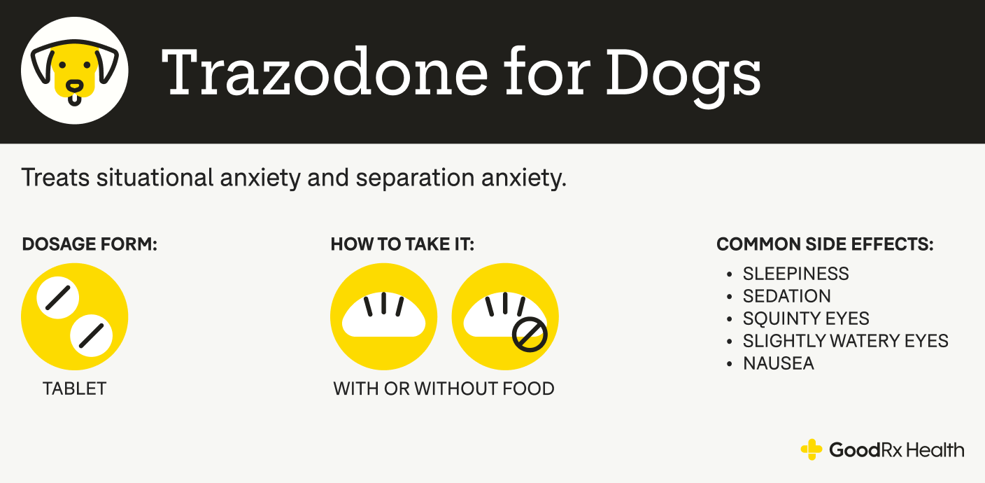Trazodone for Dogs: Dosage, Uses, and Side Effects - GoodRx