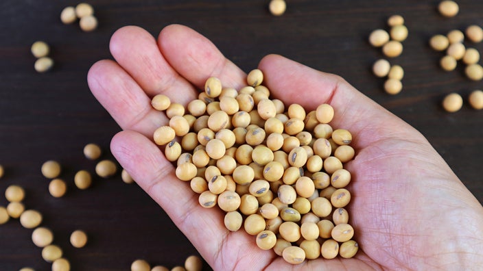 Is Soy Bad for You? No, Here’s the Research - GoodRx