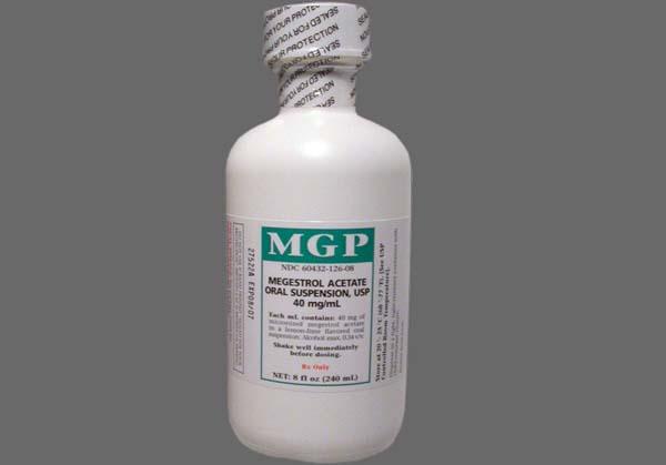 What is Megace? - GoodRx