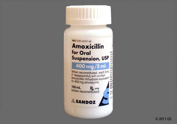 What is Amoxicillin? - GoodRx