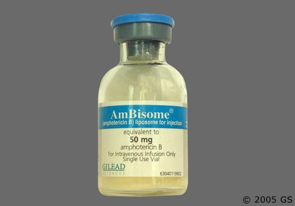 Ambisome (amphotericin B liposome): Basics, Side Effects & Reviews