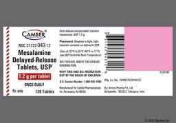 Mesalamine DR (Apriso): Uses, Side Effects, Dosage & More - GoodRx