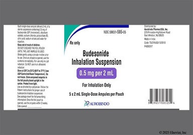 Budesonide (Entocort): Uses, Side Effects, Dosage & More - GoodRx
