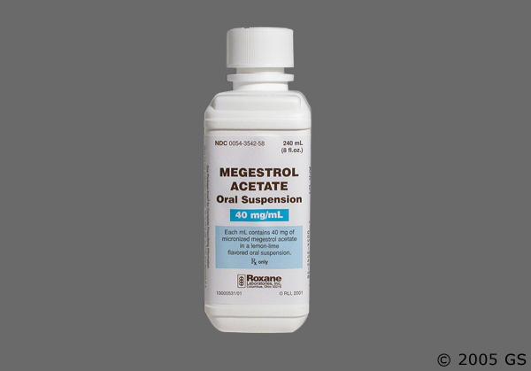 What is Megace? - GoodRx