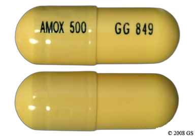 amoxicillin uses