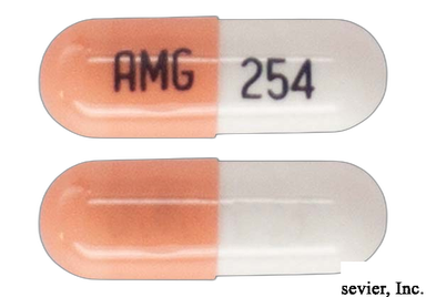 temozolomide dose