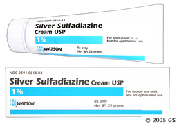 Silver Sulfadiazine 2025 Prices, Coupons & Savings Tips - GoodRx