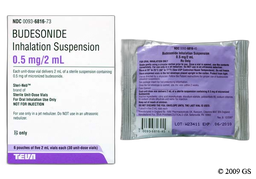 What Is Budesonide nebulizing solution (Pulmicort Respules)? Uses, Side ...