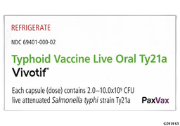 Vivotif Prices, Coupons & Savings Tips - GoodRx