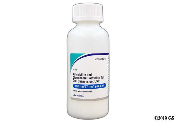 Augmentin Liquid Form