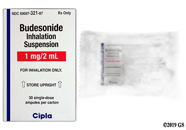 Pulmicort Respules 1mg