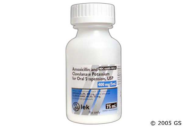 Can Dog Take Amox K Clav 875mg