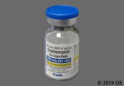 Daptomycin (Cubicin): Uses, Side Effects, Dosage & Reviews